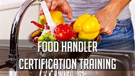 Image result for Food Handler Training Model
