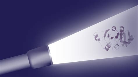 Image result for Different Sources of Light