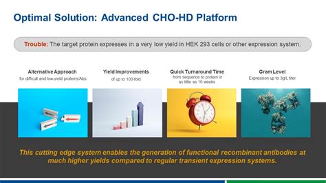 Image result for GenScript Protein Expression and Purification Challenges