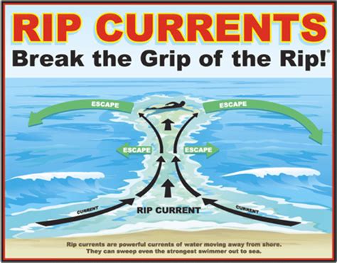Image result for Rip Current Signs