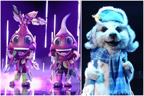 Image result for Beets Masked Singer