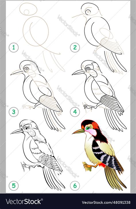 Image result for Learning How to Draw Step by Step