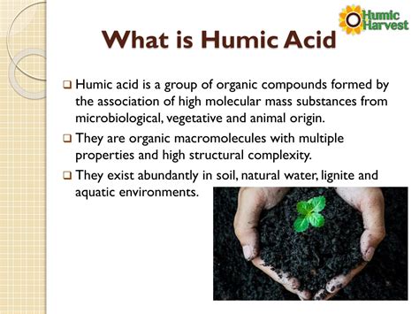 Image result for Humic Compounds