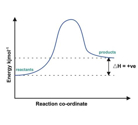 Image result for Exothermic Reaction Energy Graph