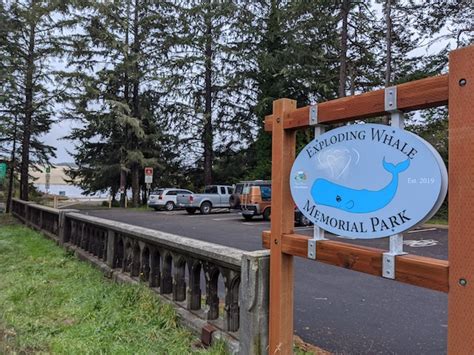 Image result for Exploding Whale Oregon