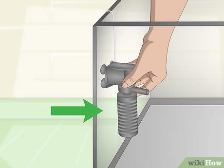 Image result for How to Keep Discus