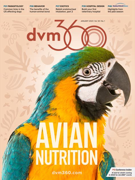 Image result for Rabbit Intubation