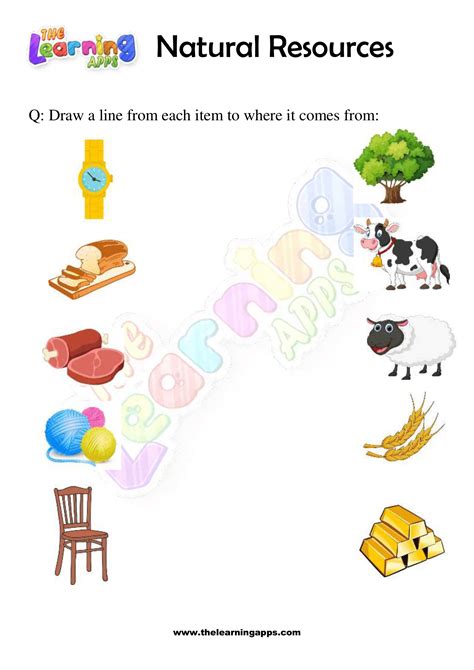 Image result for Natural Resources Worksheet Printable