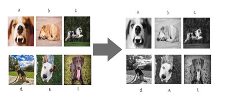 Image result for Image Classification Using CNN