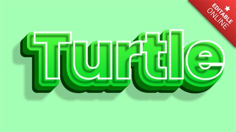 Image result for Turtle Write Text