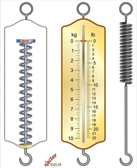 Image result for Spring Force Equilibrium