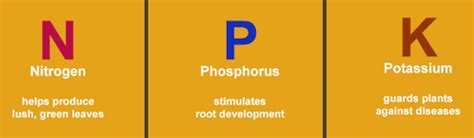 Image result for NPK Explained