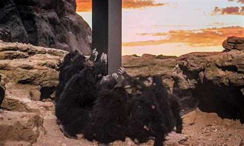 Image result for Human Backup