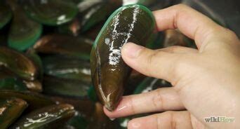 Image result for How to Clean Scallops