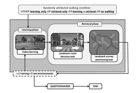 Image result for Summarizing Process
