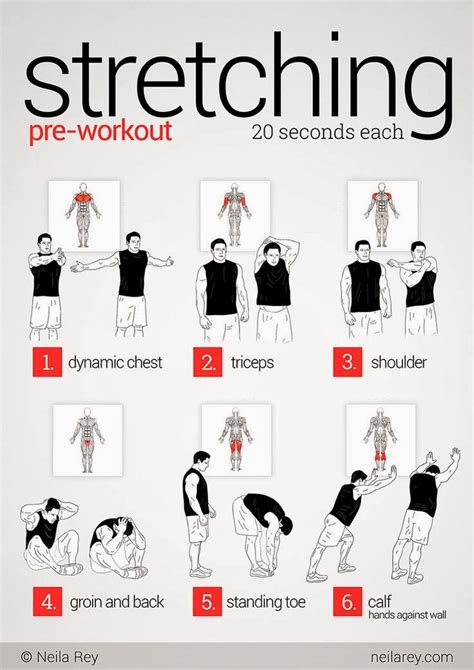 Image result for Pre-Workout Stretch Routine