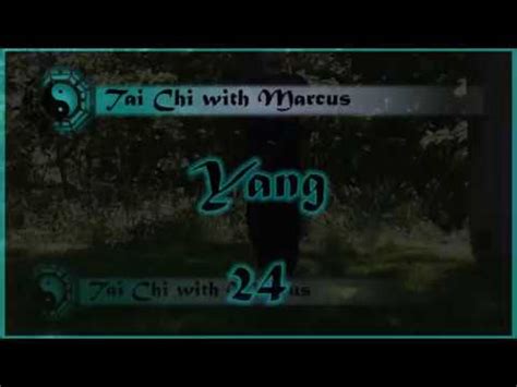 Image result for Yang Style Short Form Lesson 1 8