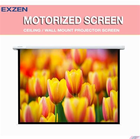Image result for Motorized Projector Screen
