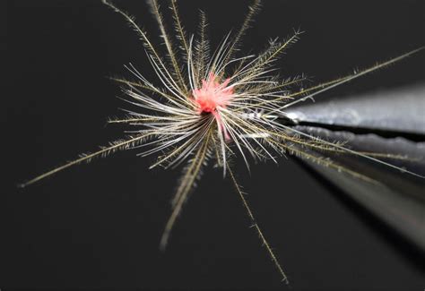 Image result for Clouser Minnow Tying Tutorial