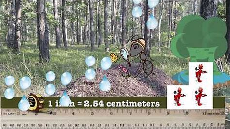 Image result for CC Cycle 1 Week 14 Math