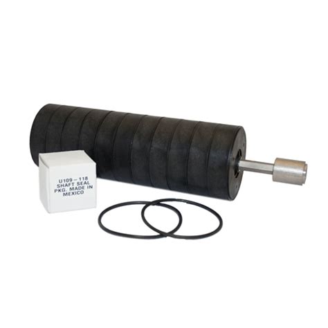 Image result for Sta-Rite Pump Rebuild Kit