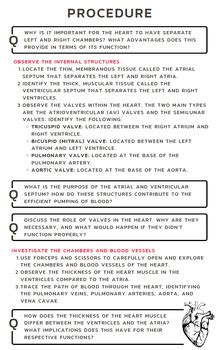 Image result for Human Heart Dissection Tutorial