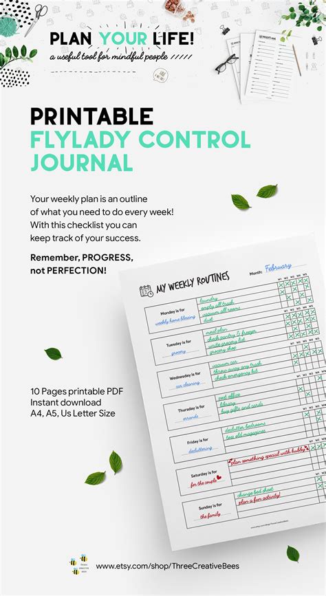 Image result for FlyLady Zone Map