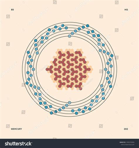 Image result for Mercury Element Bohr-Rutherford Model