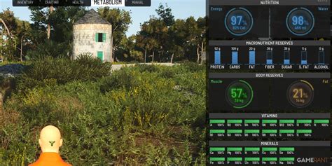 Image result for Survival Game Tips