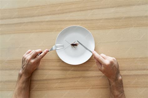 Image result for Cockroach Eating Food