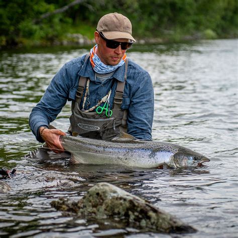 Image result for Fly Vision