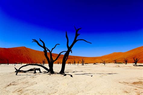 Image result for Focal Point Photography Examples