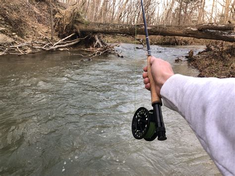 Image result for Fly Cast Tailing Loop