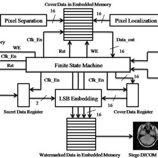 Image result for Image Processing Algorithm for DICOM Images
