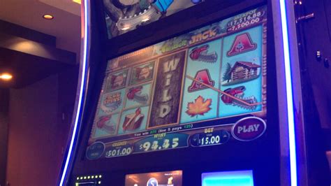 Image result for Timberjack Slot Machine