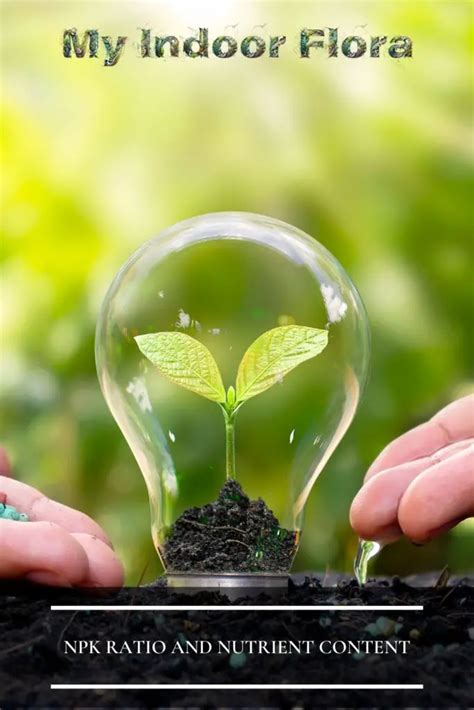 Image result for NPK Numbers