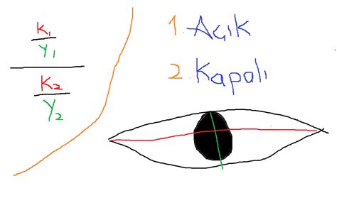 Image result for Blink Detection in a Recorded Video Using Python Spyder