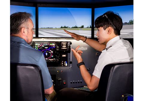 Image result for fly vision simulation