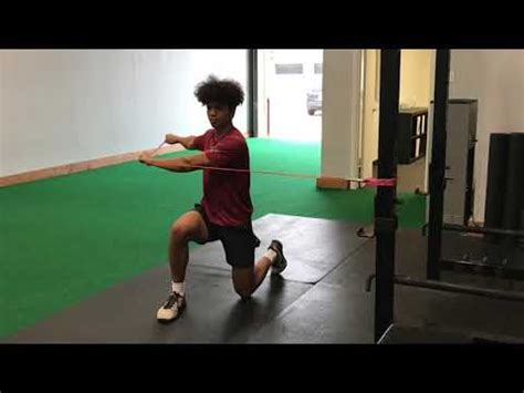 Image result for Anti-Rotation Chop