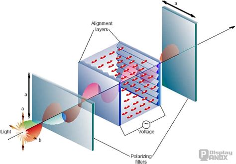 Image result for How Does LCD Work