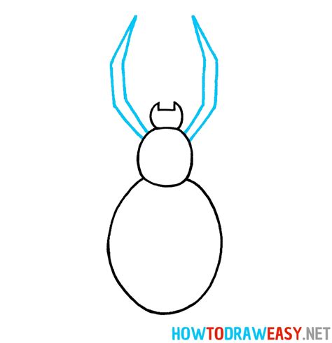 Image result for Basic Spider Drawing