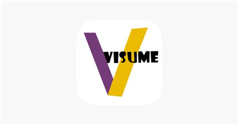 Image result for Visume Example