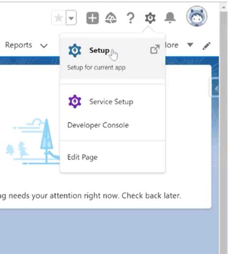 Image result for Salesforce API Management