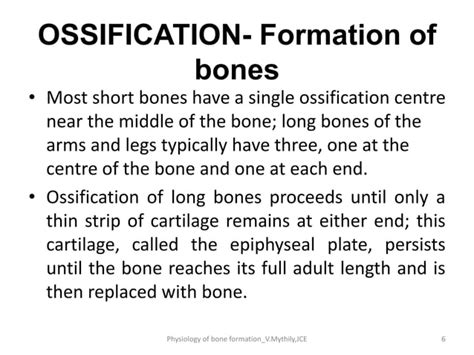 Image result for Major Events of Bone Formation