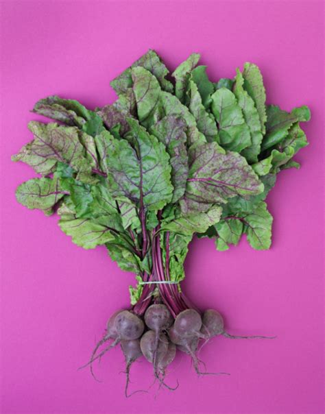 Image result for Color of Beets