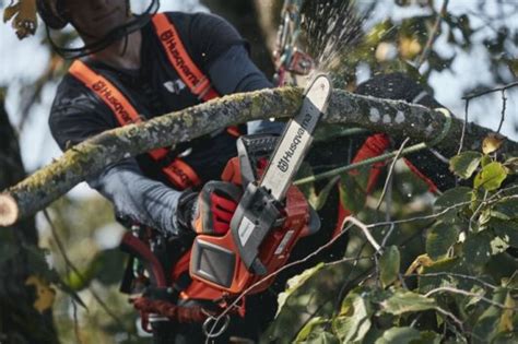 Image result for Explain Chain Saw Sizing