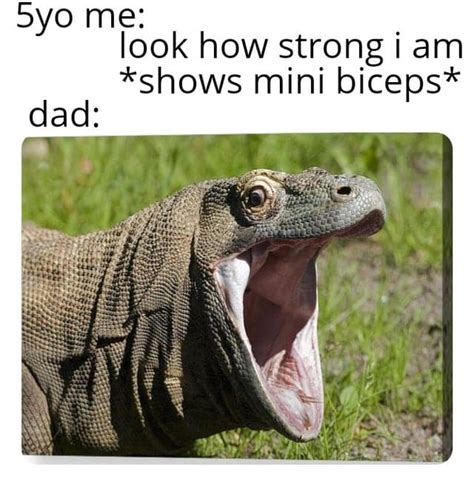 Image result for Popular Clean Memes