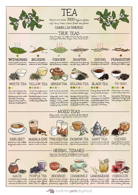Image result for Tea Types List