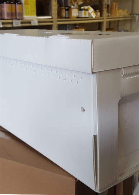 Image result for Five Frame Nuc Box