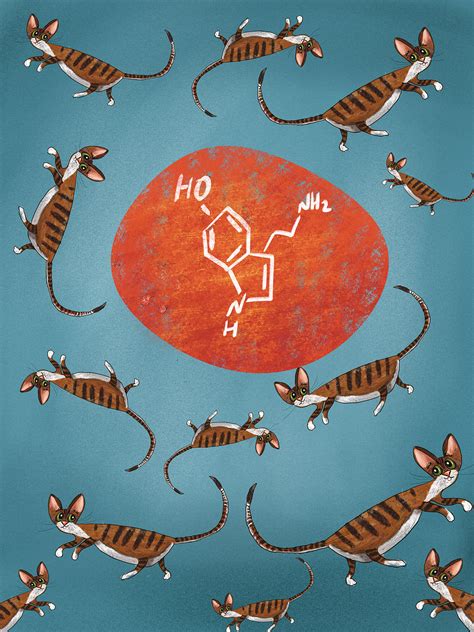 Image result for Poster Making for Formulas